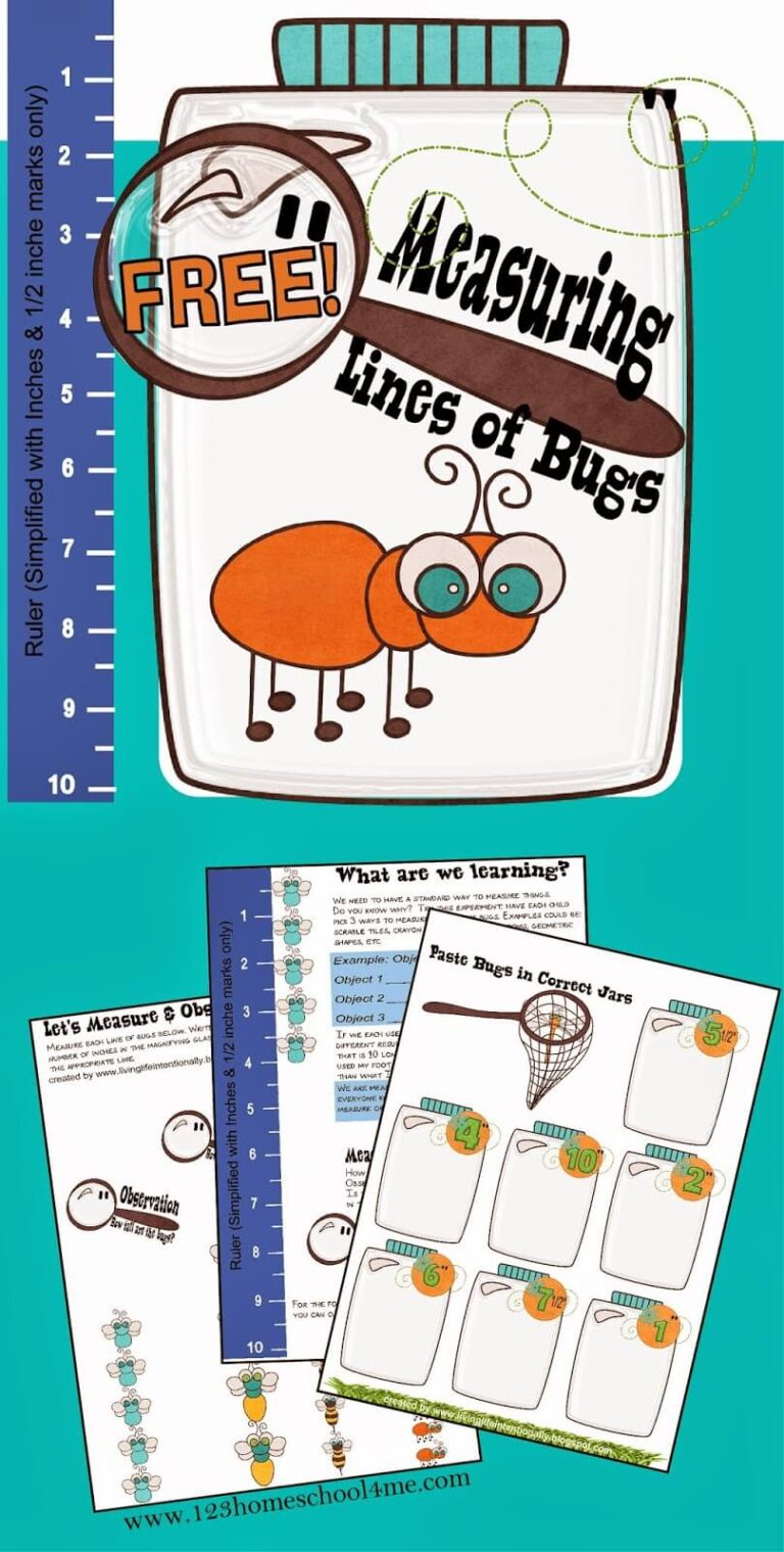 FREE Printable Life Cycle of an Ant Worksheets