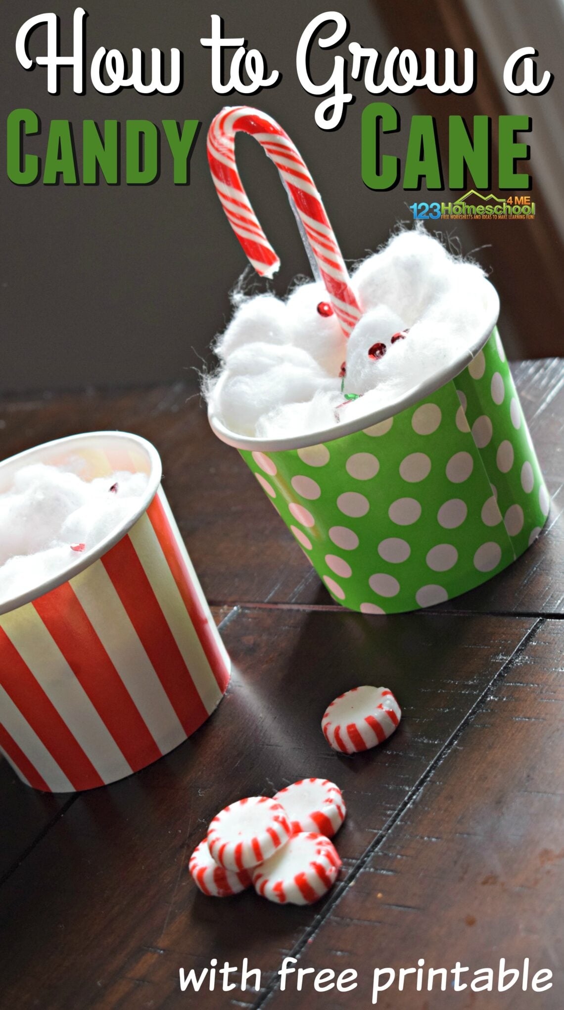 🎄 FREE Printable Candy Cane Math Equation Puzzles