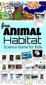 🐯 FREE Printable Wild Animal Flashcards with Real Pictures