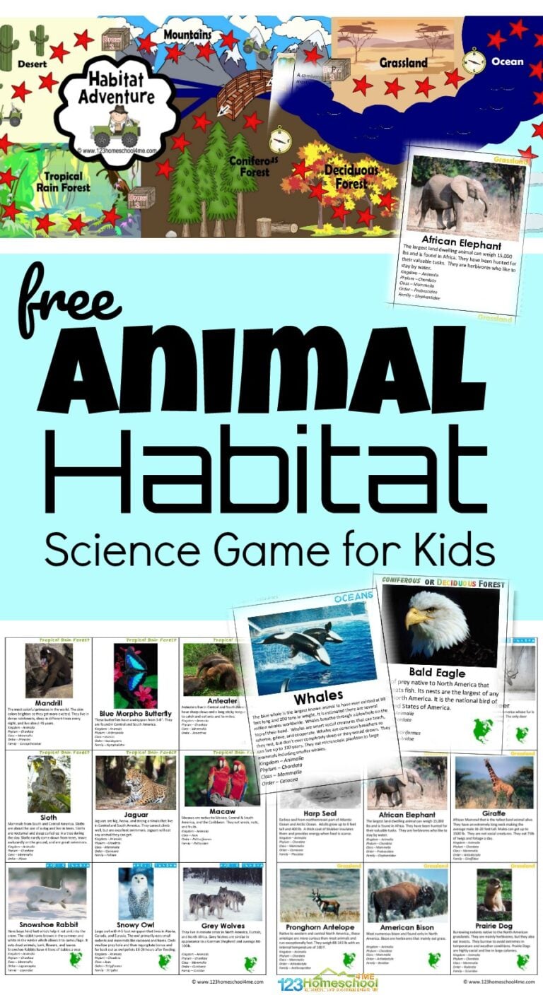 🐘🦜🦍Animal Science for kids - Worksheets, Experiments, & Activities