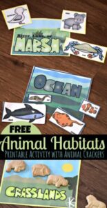 Explore Habitats with FREE Animal Card Printables