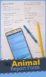 ⭐ FREE Printable 5th Grade Worksheets