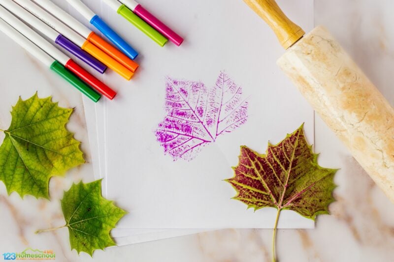 🍂 EASY Fall Leaf Printing Activity with Markers - Pretty Leaf Craft for ...