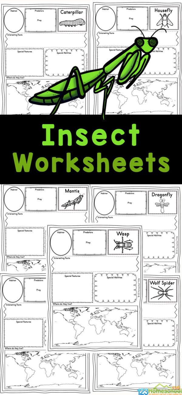 🦗🦟🦋🐞 FREE Printable Insect Worksheets for Kids