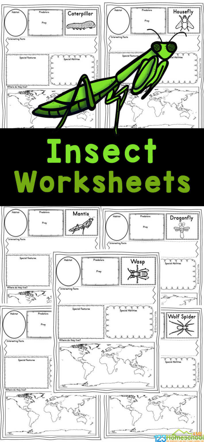 🐞 Insect Telling Time Puzzles - Free Printable Telling the Time Games