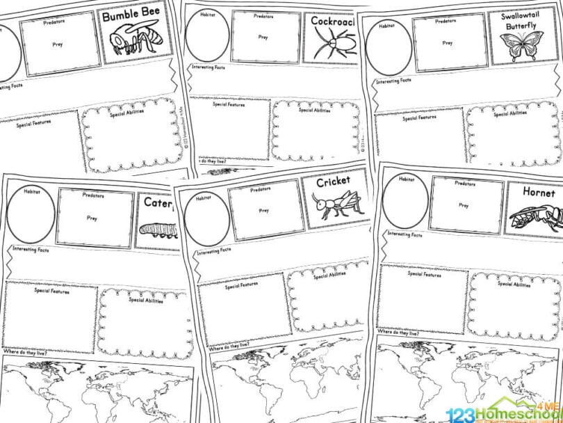 🦗🦟🦋🐞 FREE Printable Insect Worksheets for Kids
