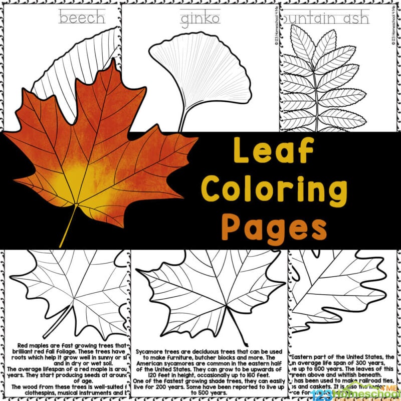 coloring pages seeds soil