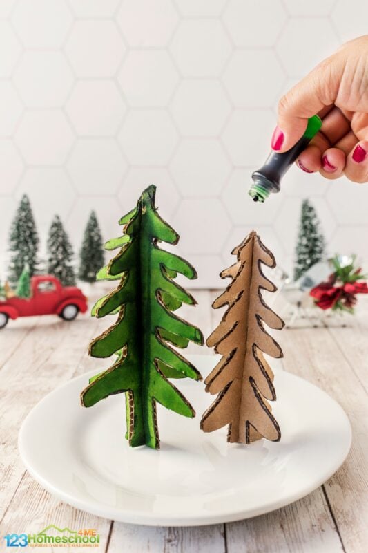 EASY Grow a Christmas Tree Science Project