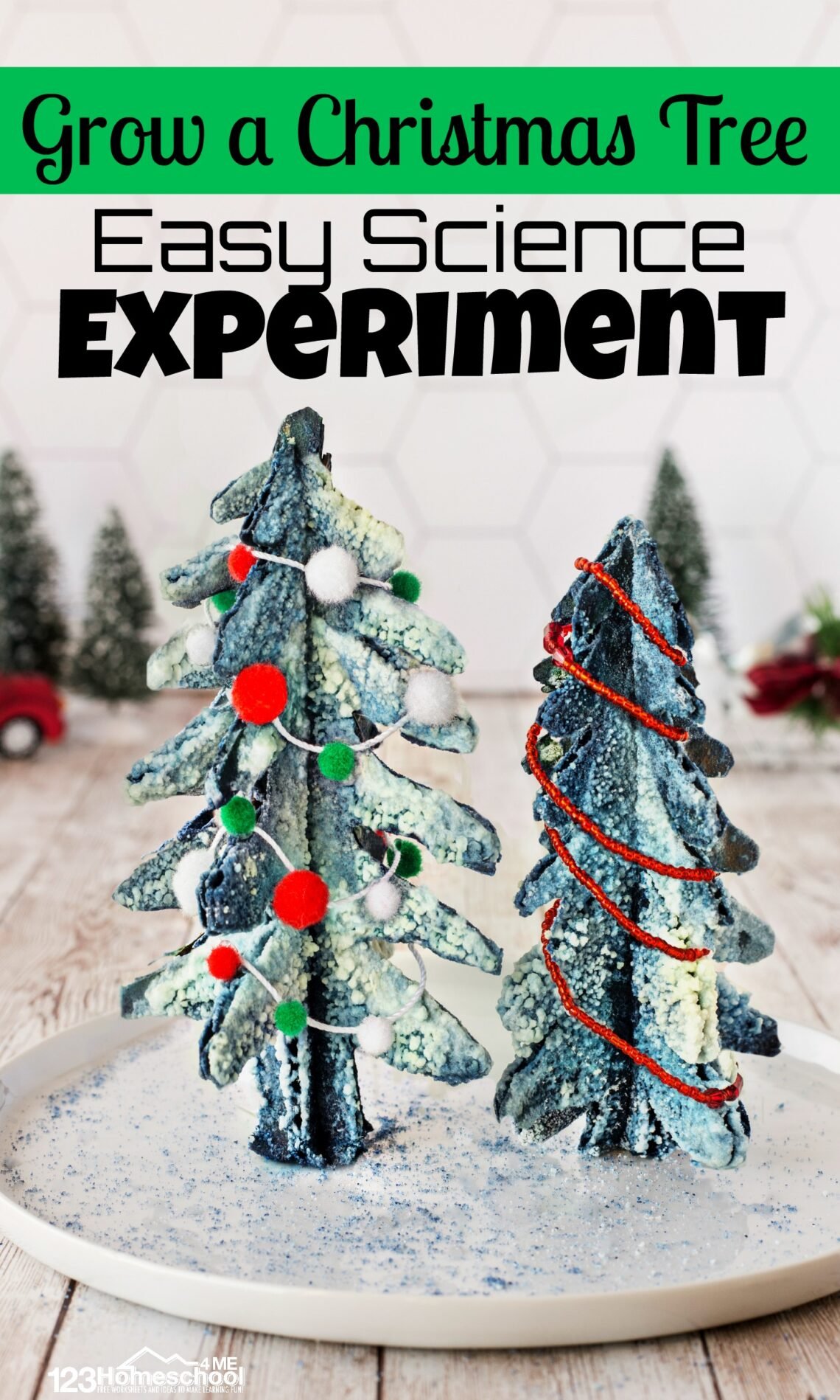 EASY Grow a Christmas Tree Science Project