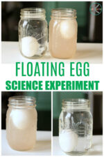 🥚 Bouncy Egg Science with Free Egg in Vinegar Experiment Worksheet