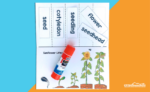 🌻 FREE Printable The Life Cycle Of A Plant Lift The Flap Book