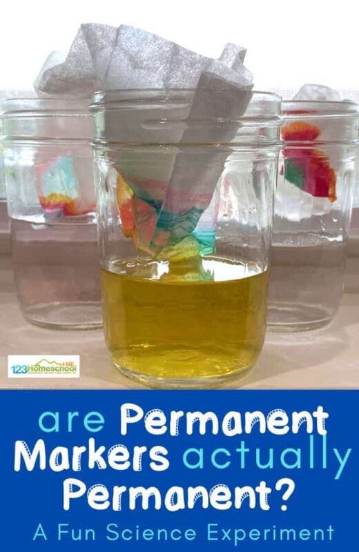 🌸 Beautiful Chromatography Flowers Science Project for Kids