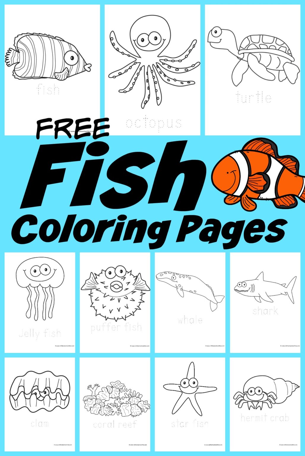 🐠 FREE Printable Under the Sea, Fish, & Ocean Animals Coloring Pages