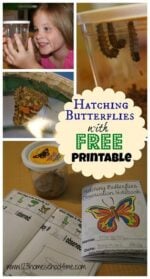 🦋 Free Printable Butterfly Rhyming Activities & Games pdf