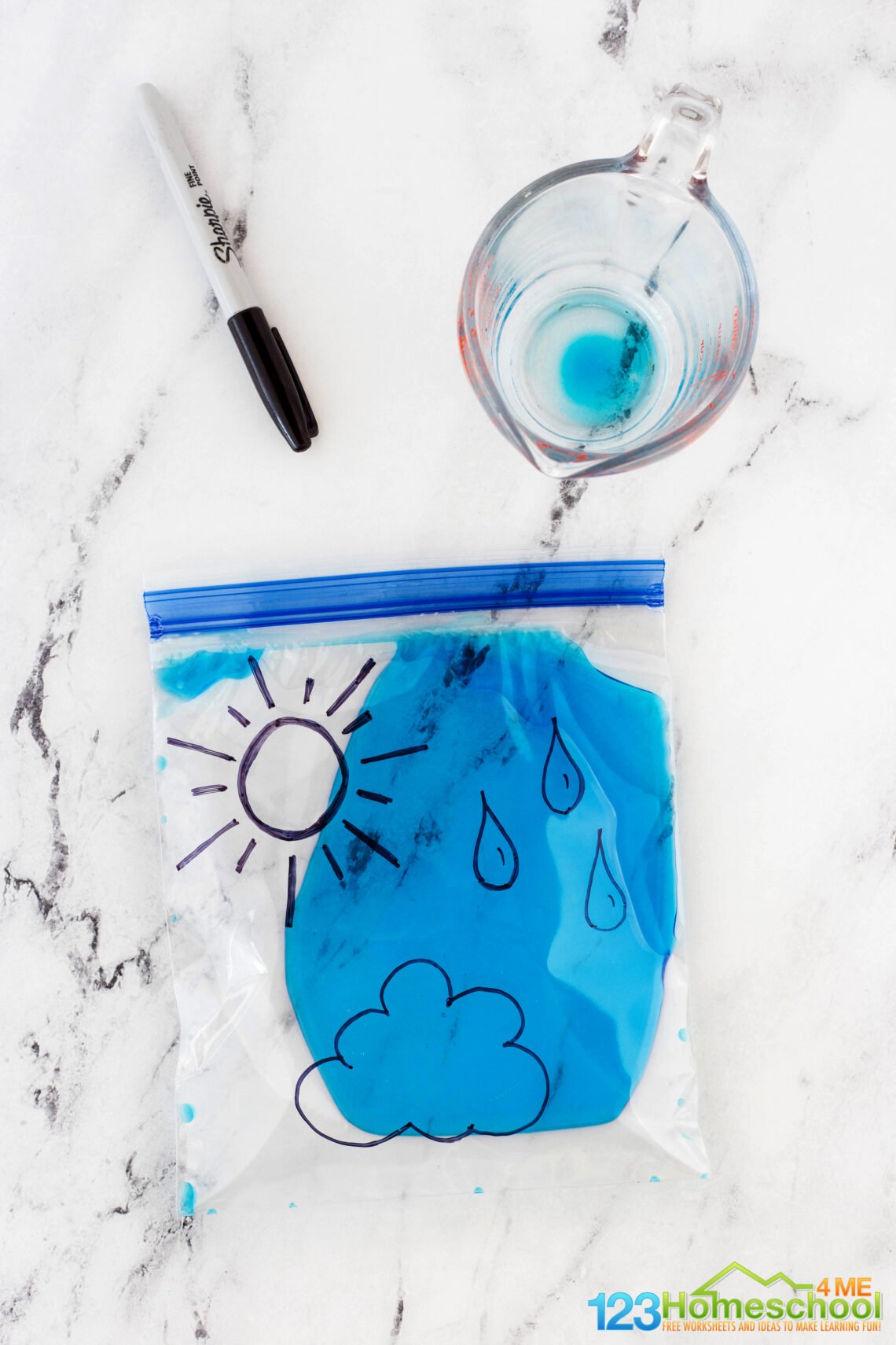 🌧 Water Cycle in a Bag Weather Activity for Kids w/ Free Worksheet