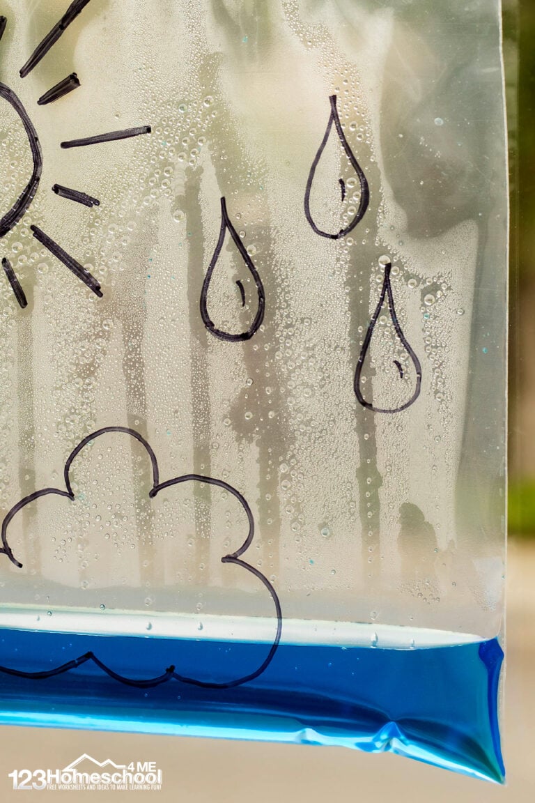 🌧 Water Cycle in a Bag Weather Activity for Kids w/ Free Worksheet