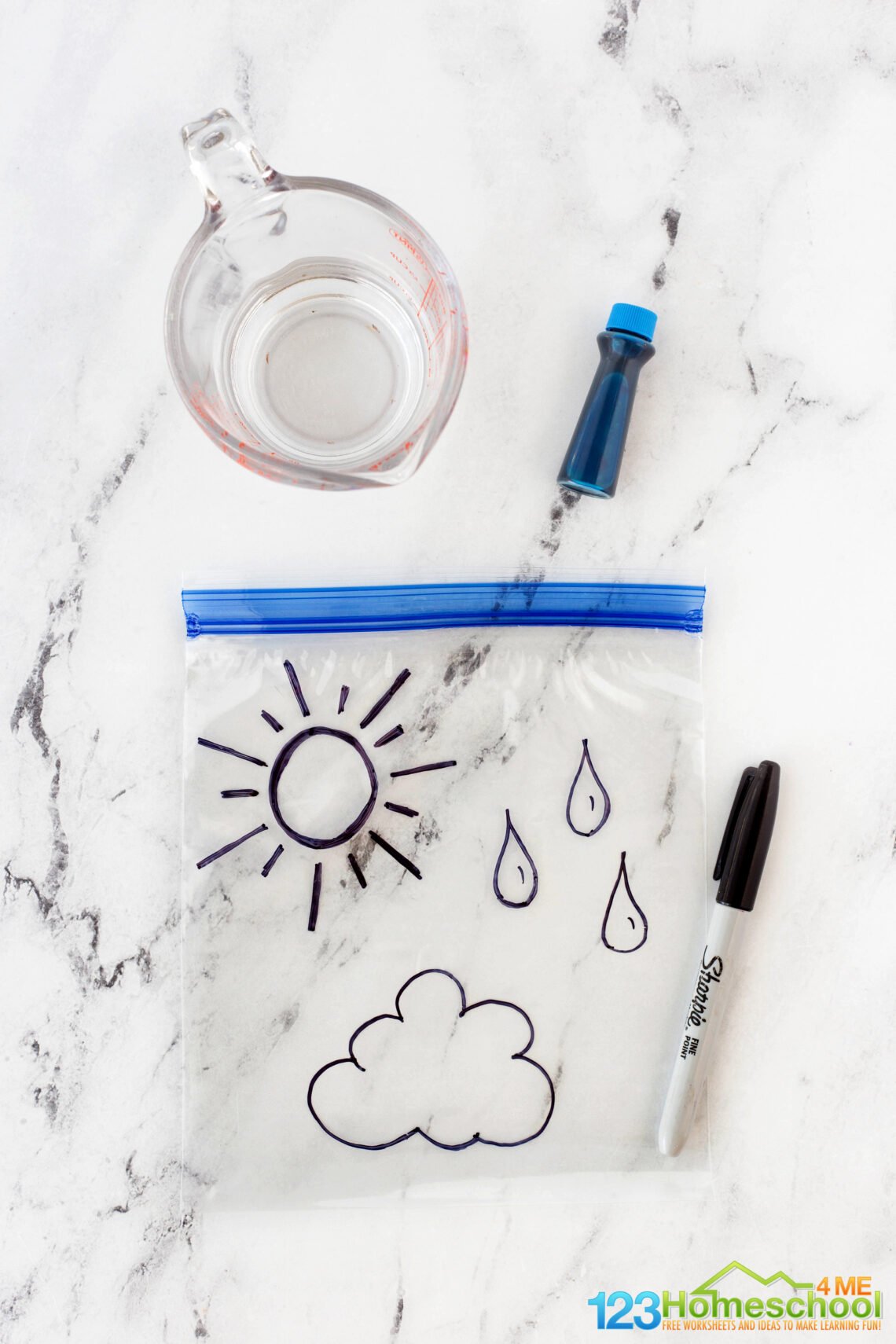 🌧 Water Cycle in a Bag Weather Activity for Kids w/ Free Worksheet