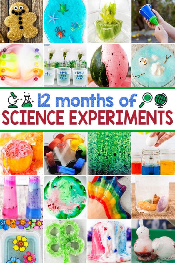 Human Body Project with Free Printables