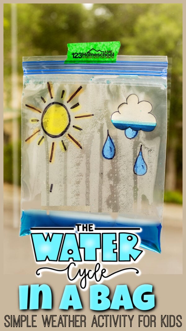 ⛈️ 2 FUN, Hands-on Water Cycle Activities for Kids