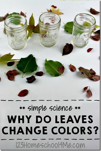 🌸 Beautiful Chromatography Flowers Science Project for Kids
