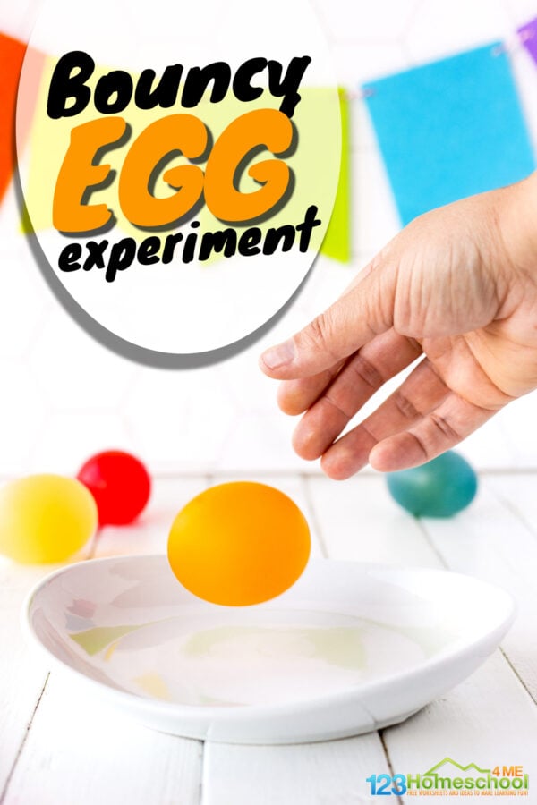 🥚 Bouncy Egg Science with Free Egg in Vinegar Experiment Worksheet
