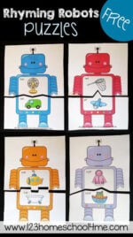 FREE Rhyming Clip Cards with Pictures