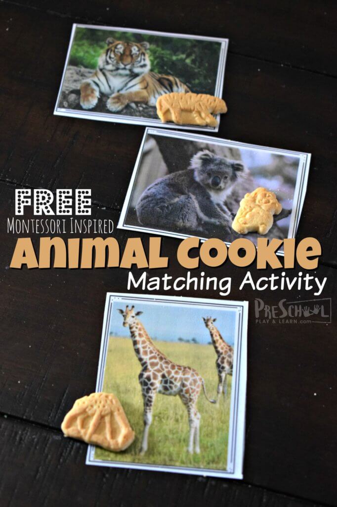 🍪 FREE Cookie Tray Christmas Playdough Mats