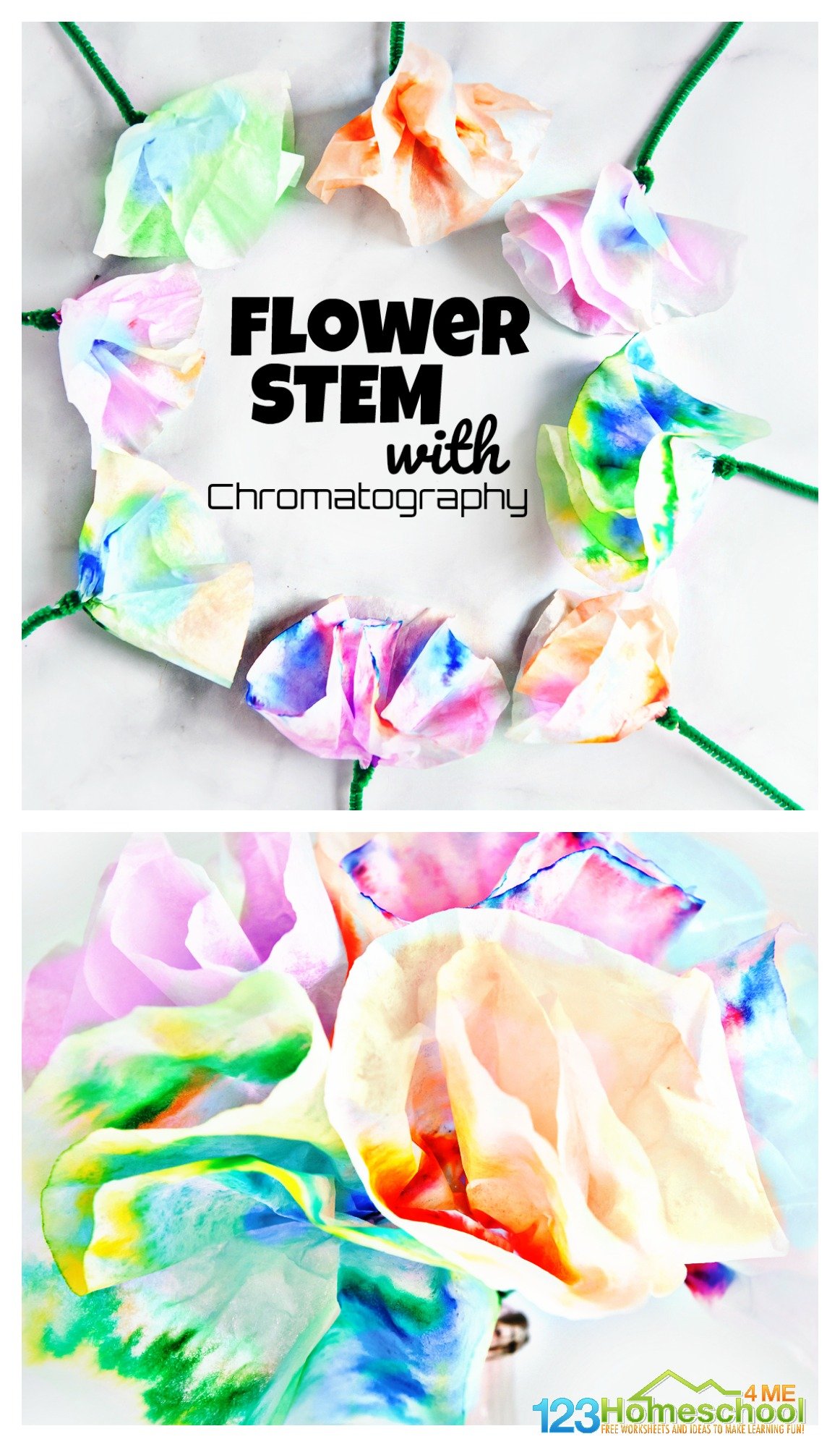 Beautiful Chromatography Flowers Science Project