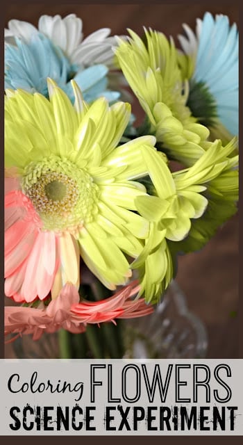 🌷 Spring Flower Hand Art Craft for Kids