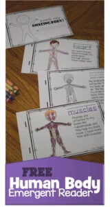 Learn About Ancient China for Kids - Read, Color, Learn Mini Books ...