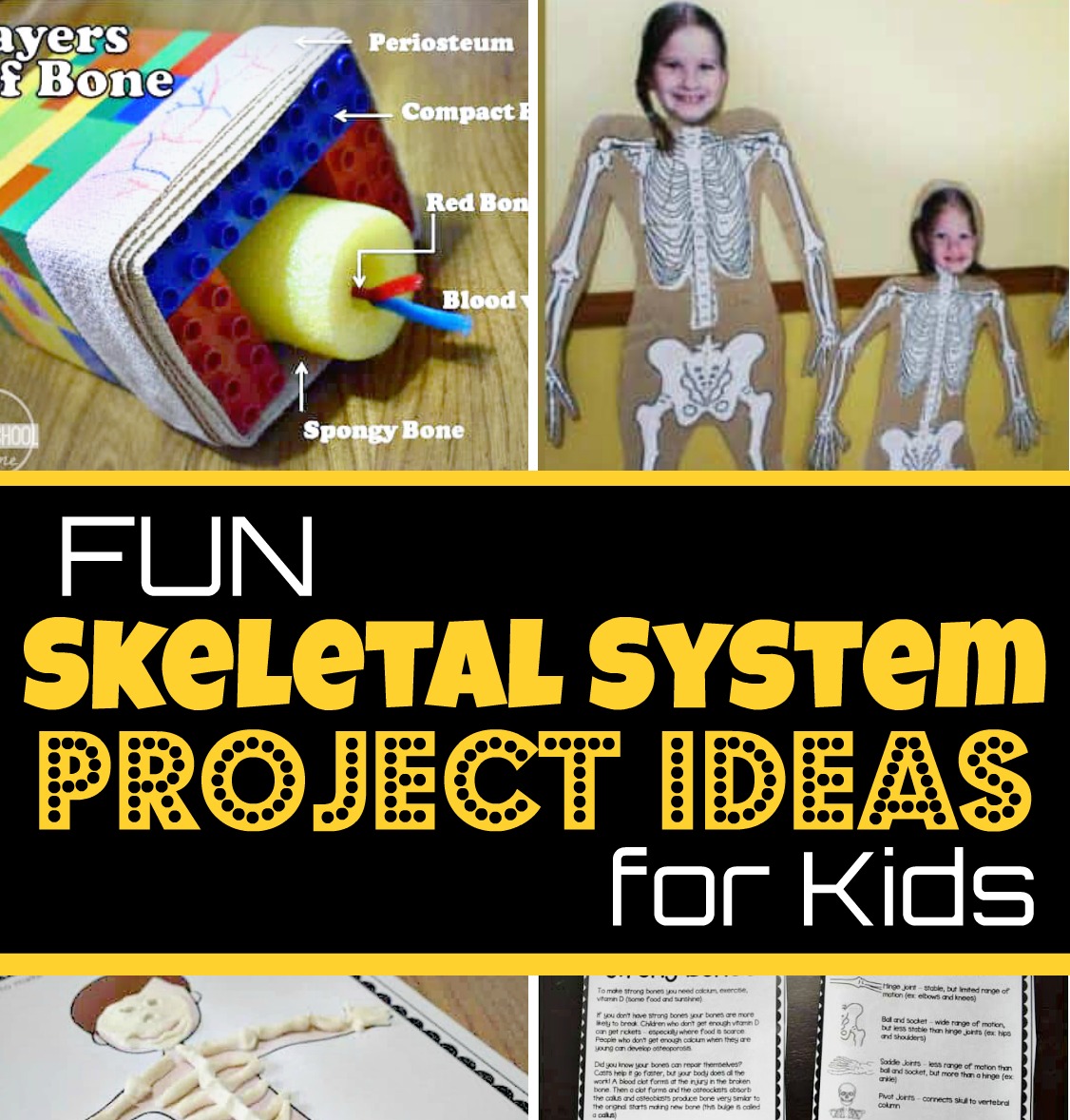 EPIC Skeletal System Projects Ideas For Kids EPIC Skeletal System Projects Ideas For Kids