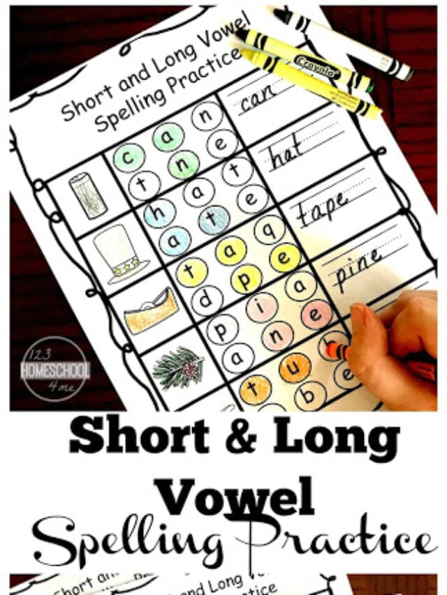 CVCe Short and Long Vowel Worksheets - 123 Homeschool 4 Me