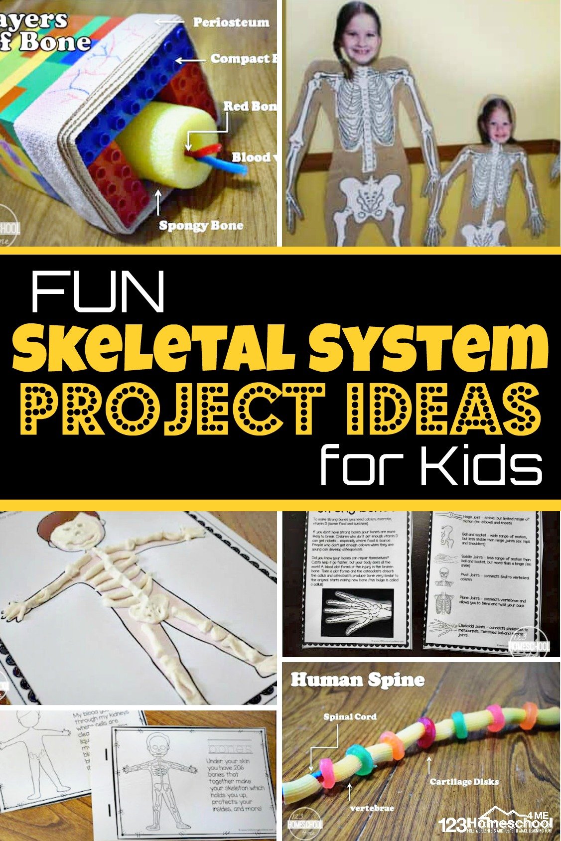 🦴 EPIC Skeletal System Projects Ideas for Kids