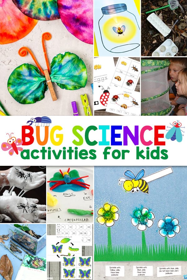 FREE Bug Theme for Kids - Activities, Crafts, Math, Science, Printables