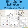 FREE Birds in Winter Printable Worksheets