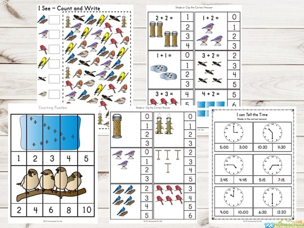 FREE Birds in Winter Printable Worksheets