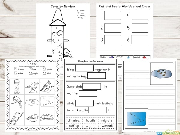 FREE Birds in Winter Printable Worksheets