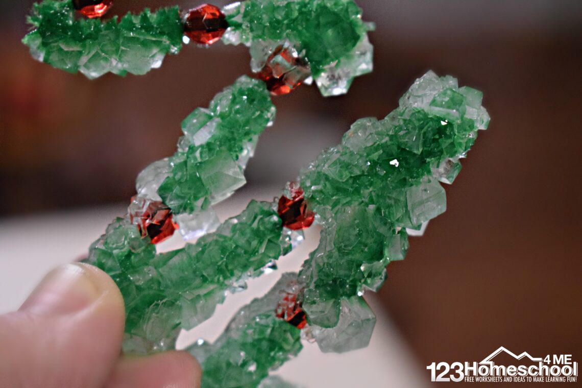 Borax Crystals Christmas Tree Science Experiment