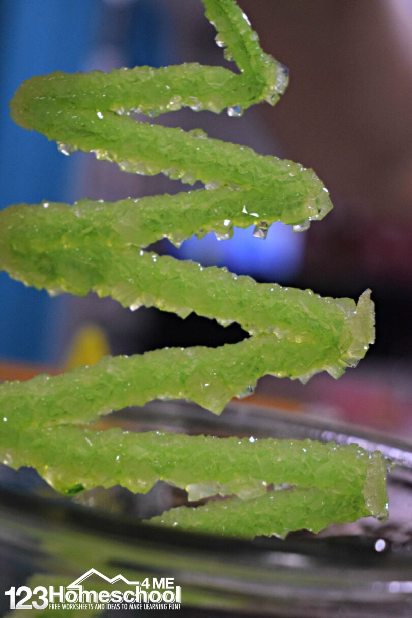 Borax Crystals Christmas Tree Science Experiment