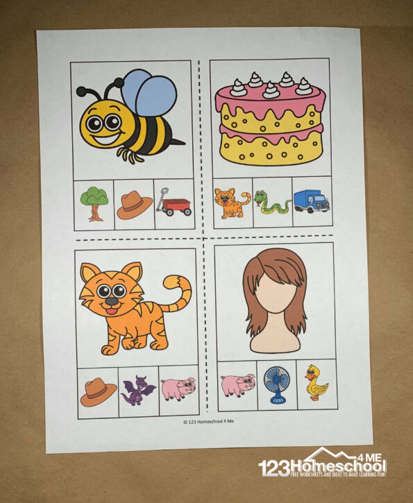 FREE Rhyming Clip Cards with Pictures