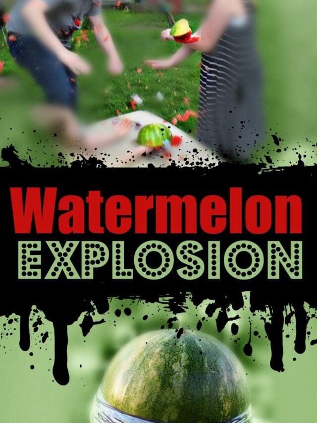 Stories Archive - Page 19 of 22 - 123 Homeschool 4 Me