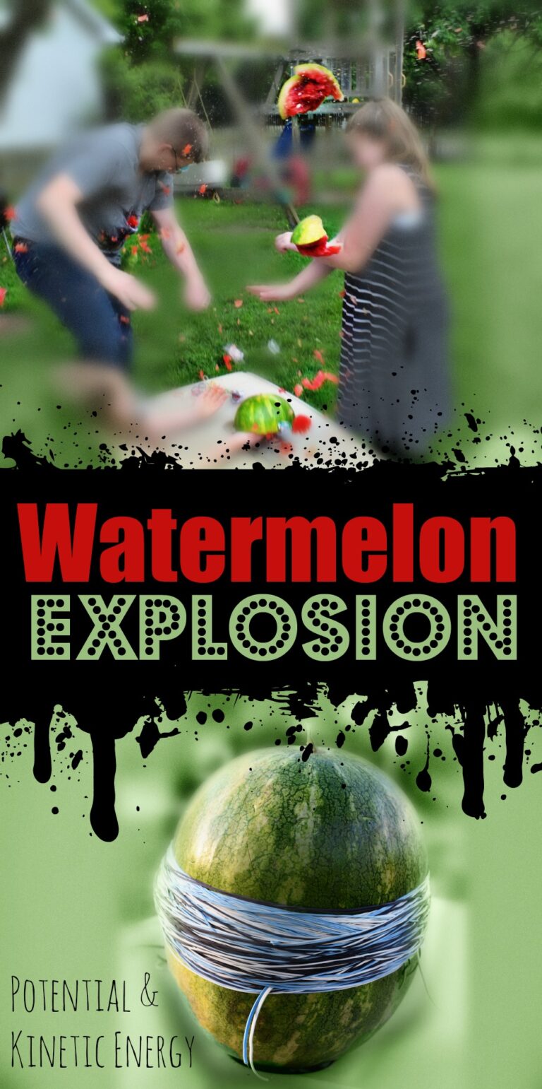 🍉 FREE Watermelon Counting Book Worksheets