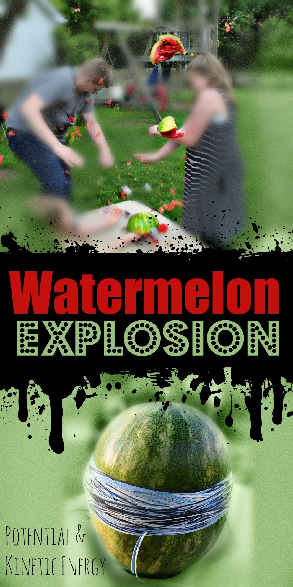 🍉 FREE Watermelon Counting Book Worksheets