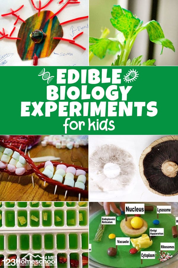 100 AMAZING Food Experiments for Kids - Chemistry, Biology, Physics ...