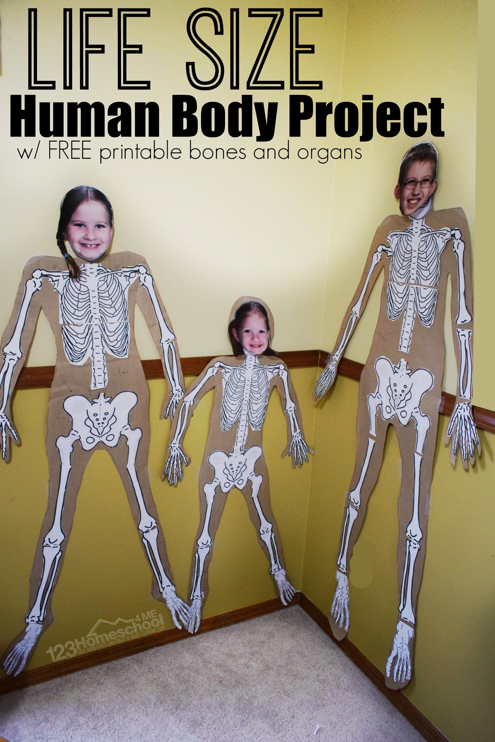 Human Body Project with Free Printables
