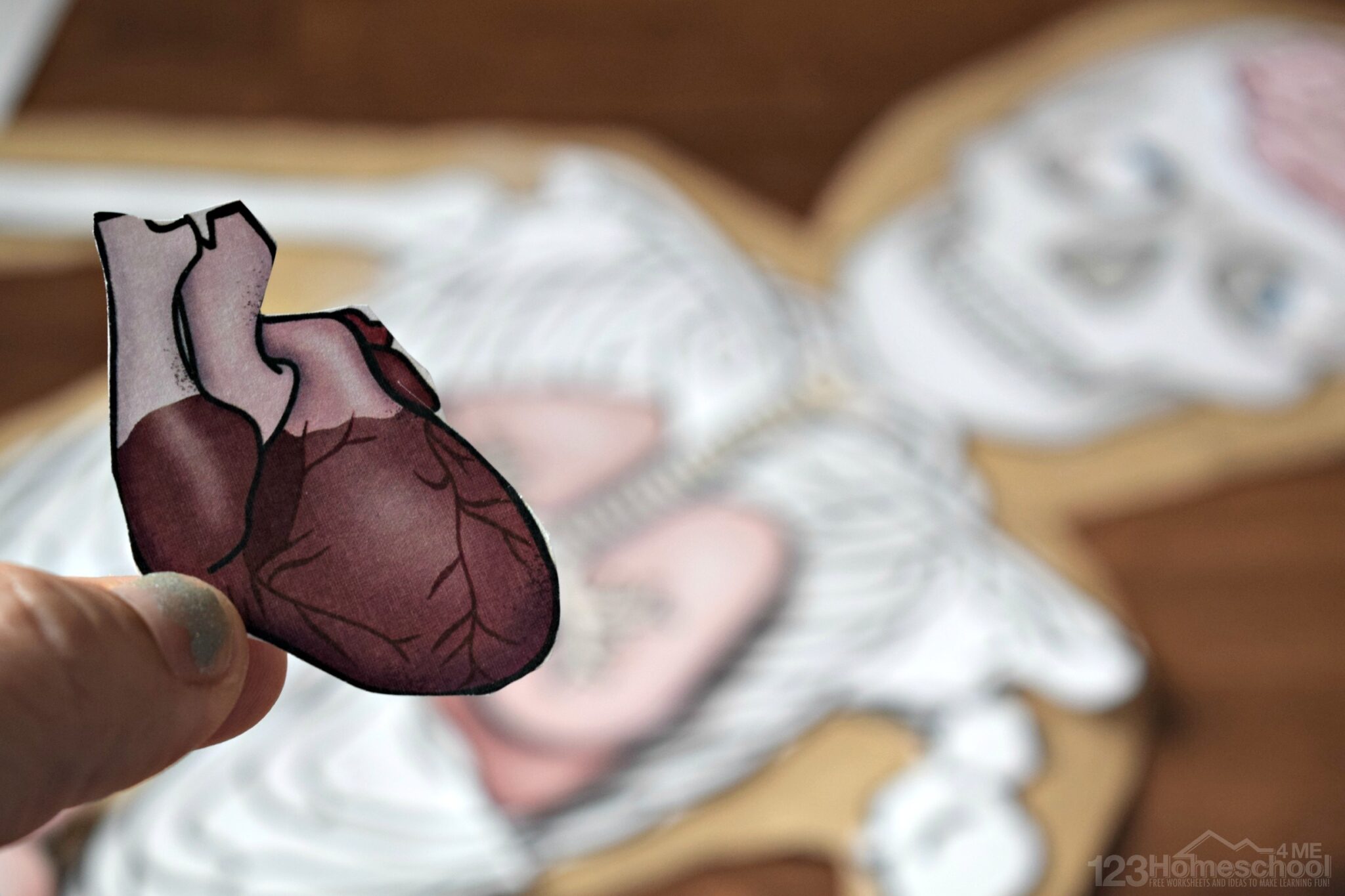 Human Body Project with Free Printables