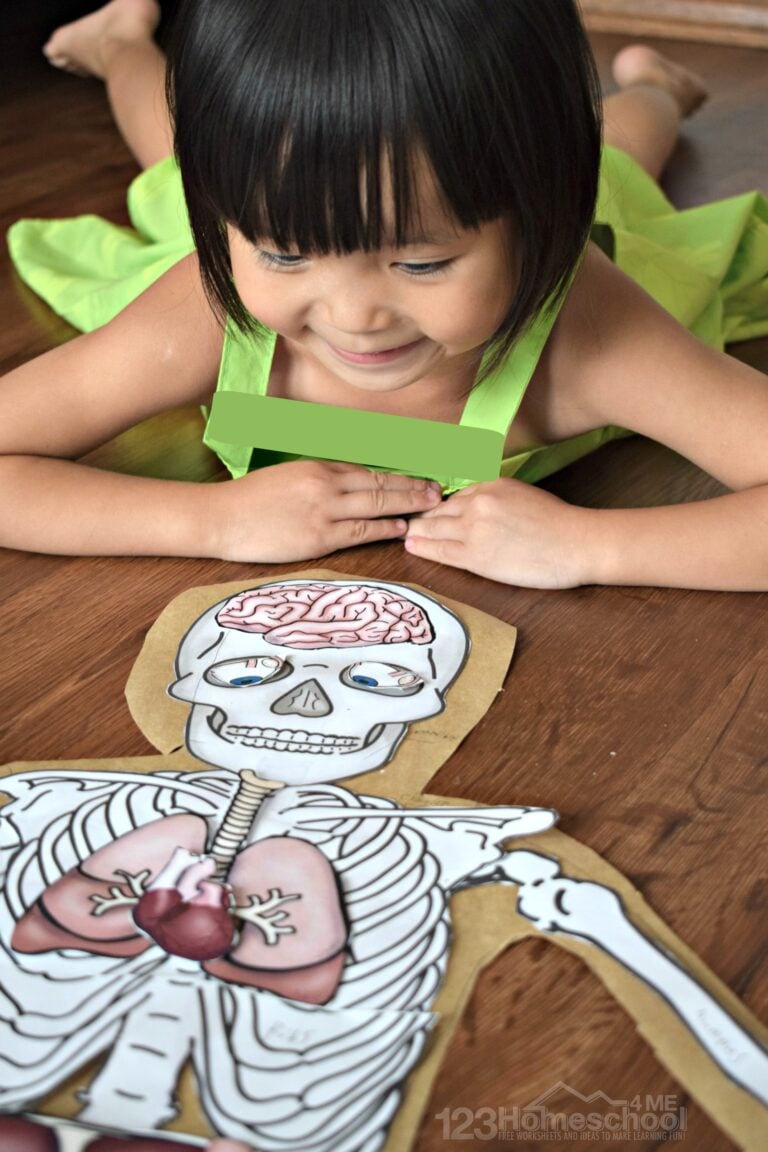 Human Body Project with Free Printables