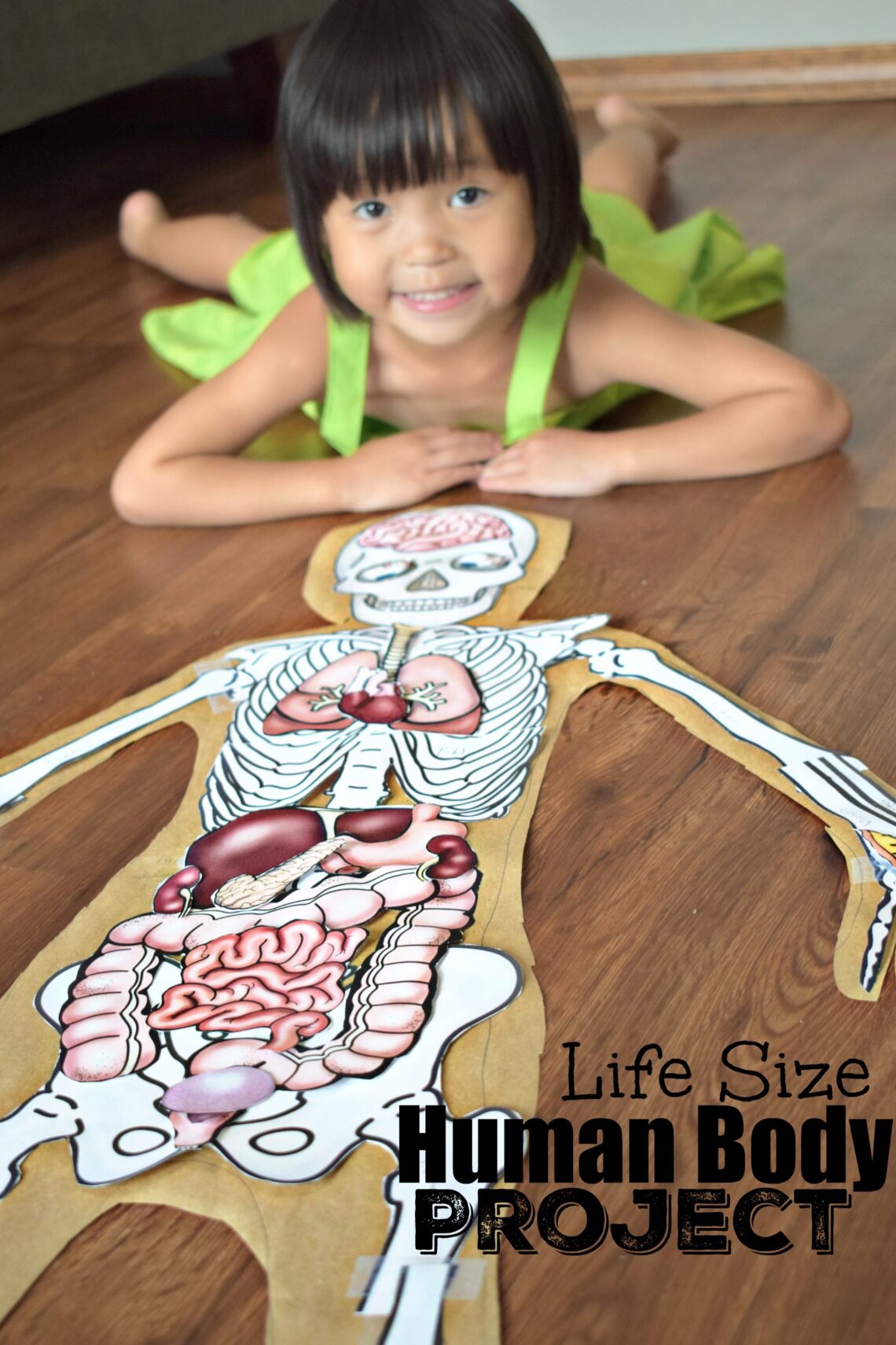 🧠 25 Human Body for Kids Activity Ideas, Worksheets, & MORE