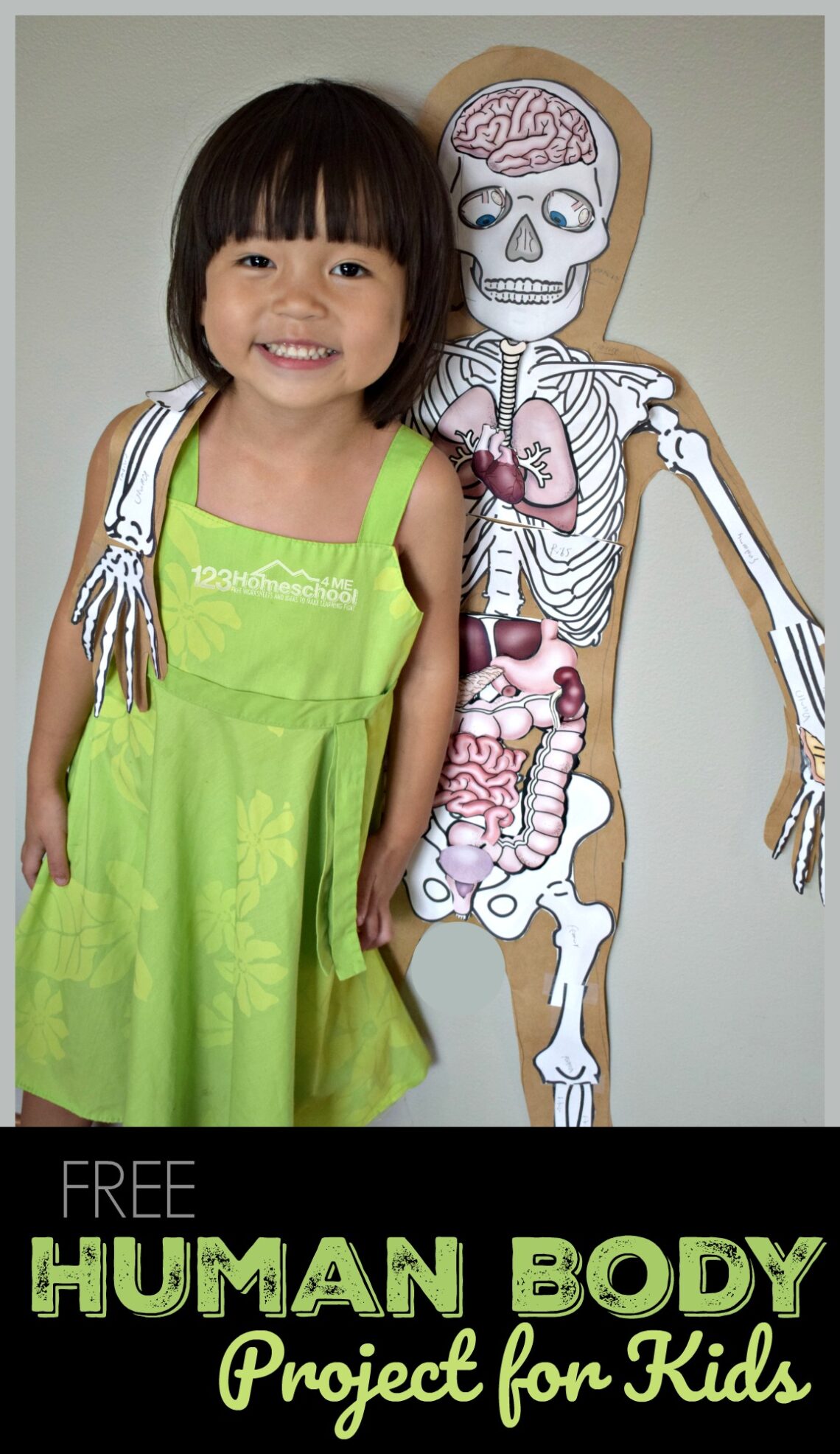 Human Body Project With Free Printables Human Body Project With Free Printables