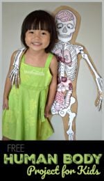 Human Body Project with Free Printables